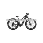 OKAI Ranger EB50 Common Problems