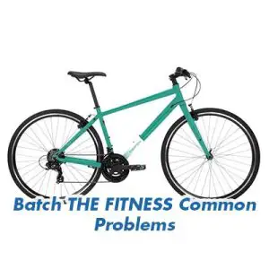 Batch THE FITNESS Common Problems