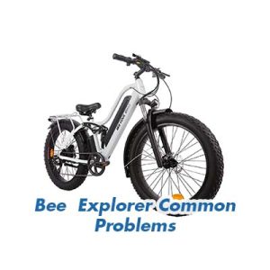 Bee Explorer Common Problems
