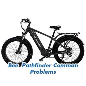 Bee Pathfinder Common Problems
