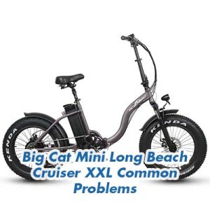 Big Cat Mini Long Beach Cruiser XXL Common Problems