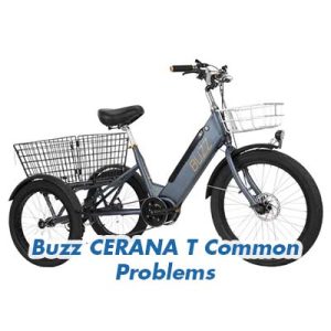 Buzz CERANA T Common Problems