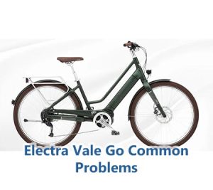 Electra Vale Go Common Problems and Troubleshooting