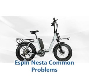 Espin Nesta Common Problems and Troubleshooting