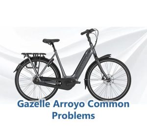 Gazelle Arroyo Common Problems and Troubleshooting
