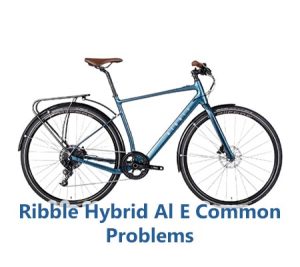 Ribble Hybrid AL e Common Problems and Troubleshooting